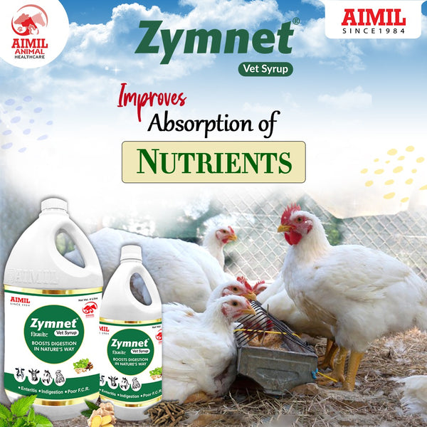 AIMIL Zymnet Vet Syrup – Herbal Digestive Tonic for Healthy Poultry – AIMILVETS