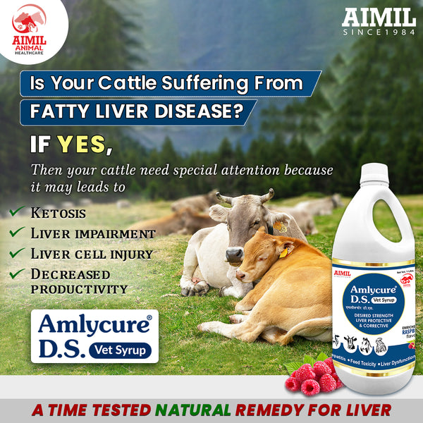Buy Amlycure Ds Vet syrup herbal liver formula for poultry – AIMILVETS