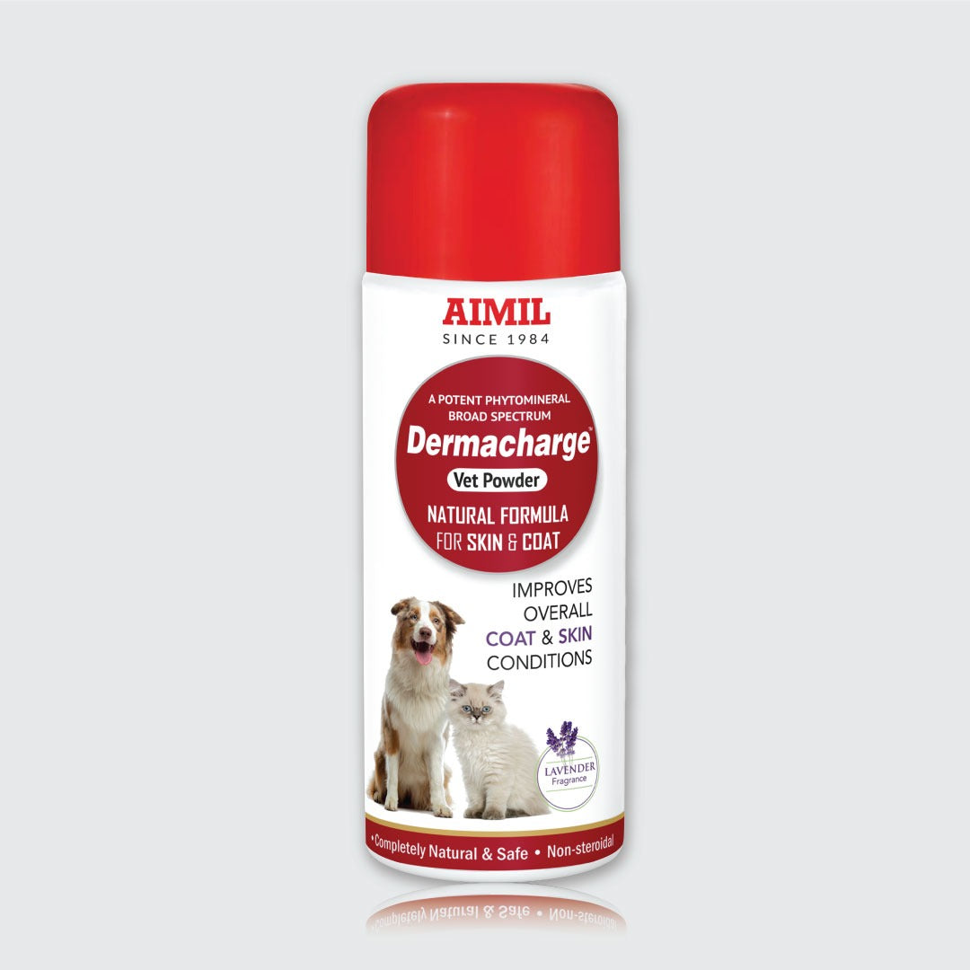 Aimil Dermacharge Vet Powder 100 gm – AIMILVETS