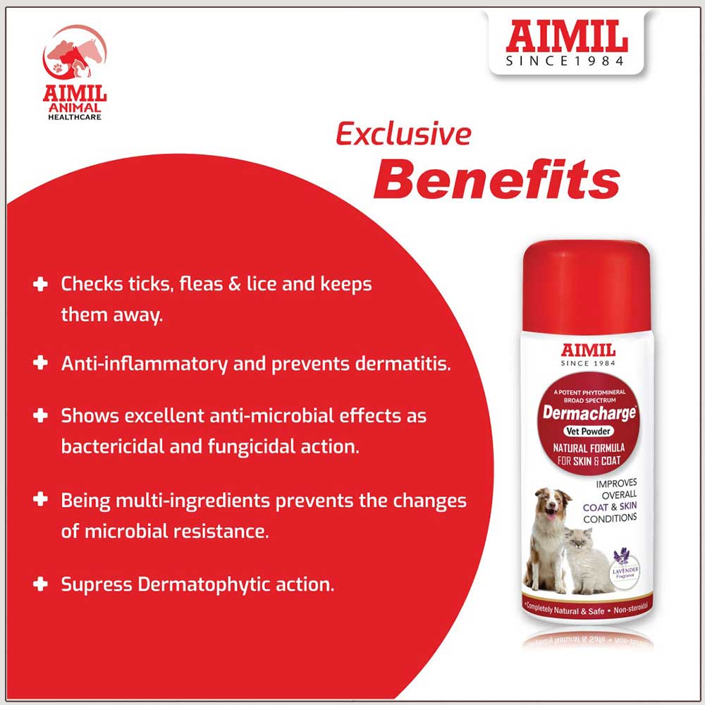 Dermacharge Vet Powder 100gm – AIMILVETS