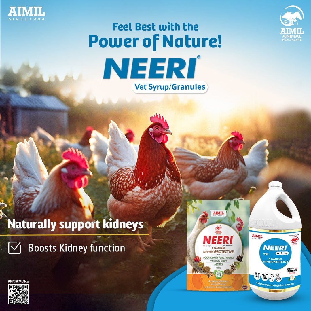 Neeri Vet syrup for poultry birds – AIMILVETS
