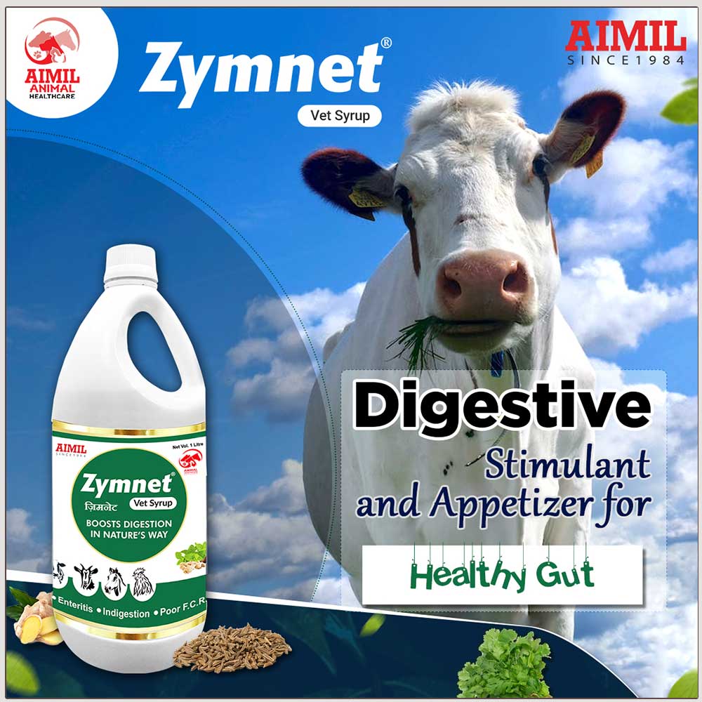 Buy Zymnet vet syrup stimulates the secretions of Enzymes – AIMILVETS