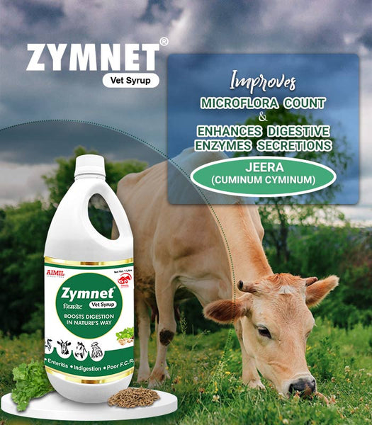 Buy Zymnet vet syrup stimulates the secretions of Enzymes – AIMILVETS
