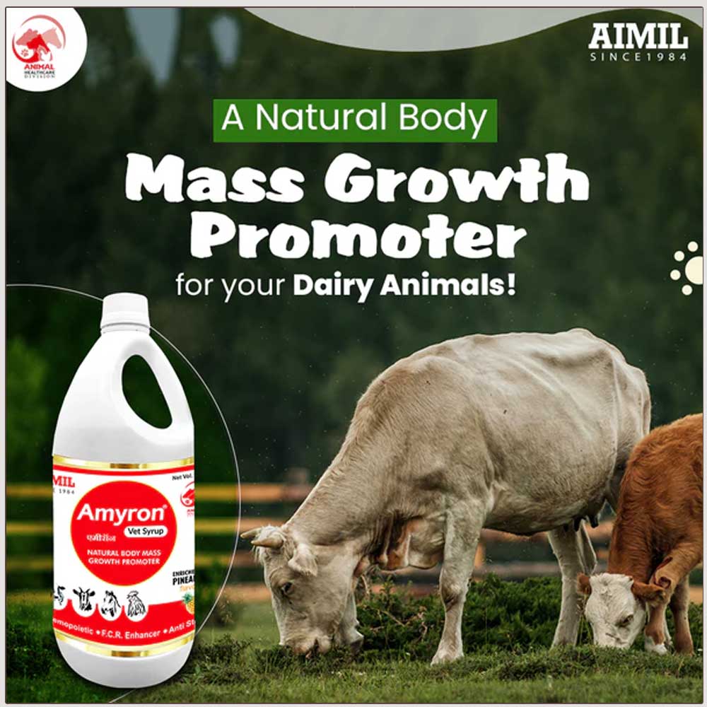 Buy Amyron Vet Syrup for enhances the overall health performance of ...